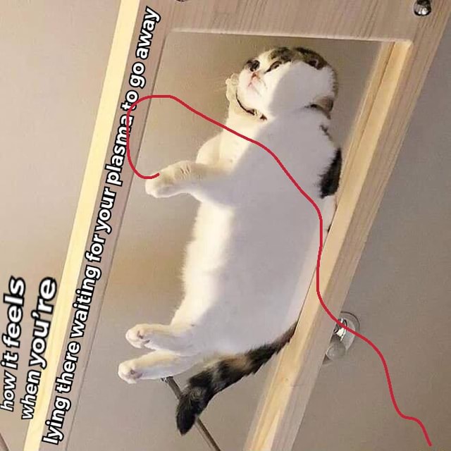 Making memes while donating plasma - iFunny