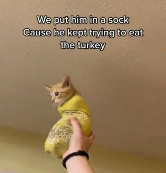 VS pr lia fin Seis Caves aning to - iFunny