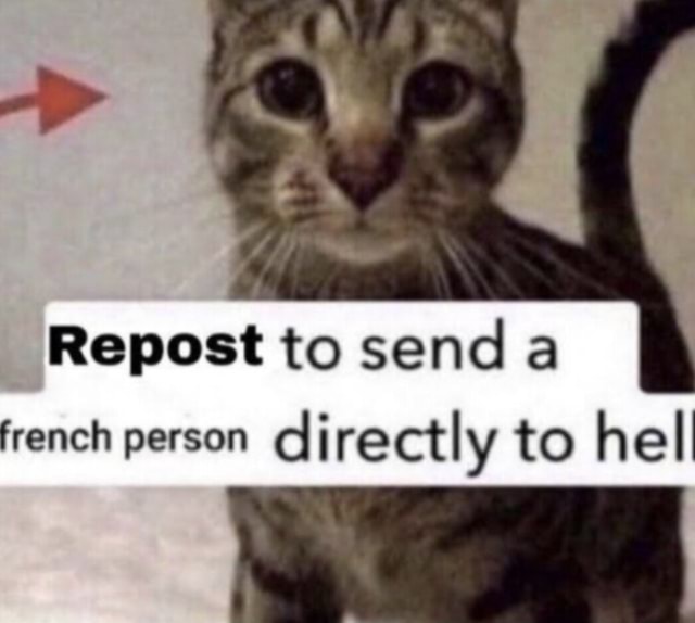 Repost to send french person directly to hell - iFunny
