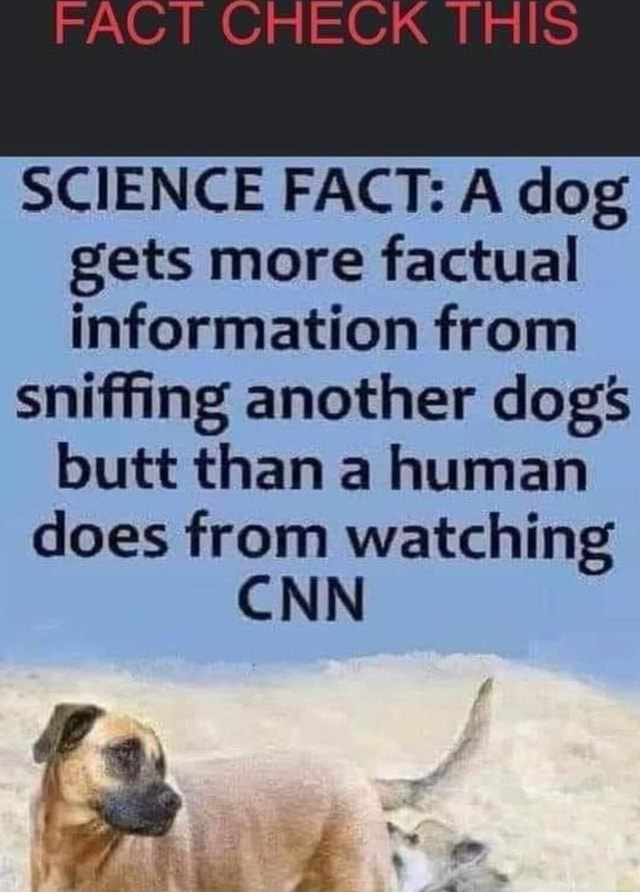 FACT CHECK THIS SCIENCE FACT: A dog gets more factual information from ...