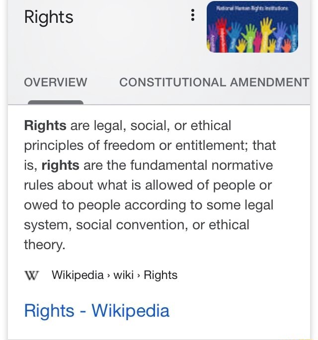 Rights OVERVIEW CONSTITUTIONAL AMENDMENT Rights are legal, social, or ...