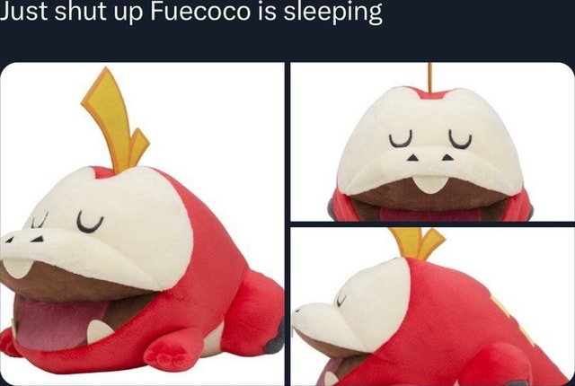 Just shut up Fuecoco Is sleeping - iFunny