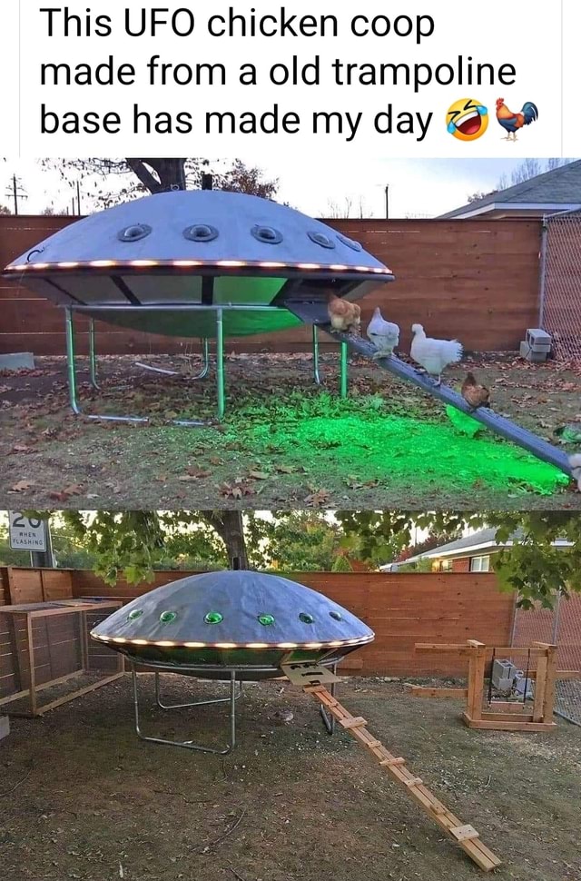 This UFO chicken coop made from a old trampoline base has made my day ...