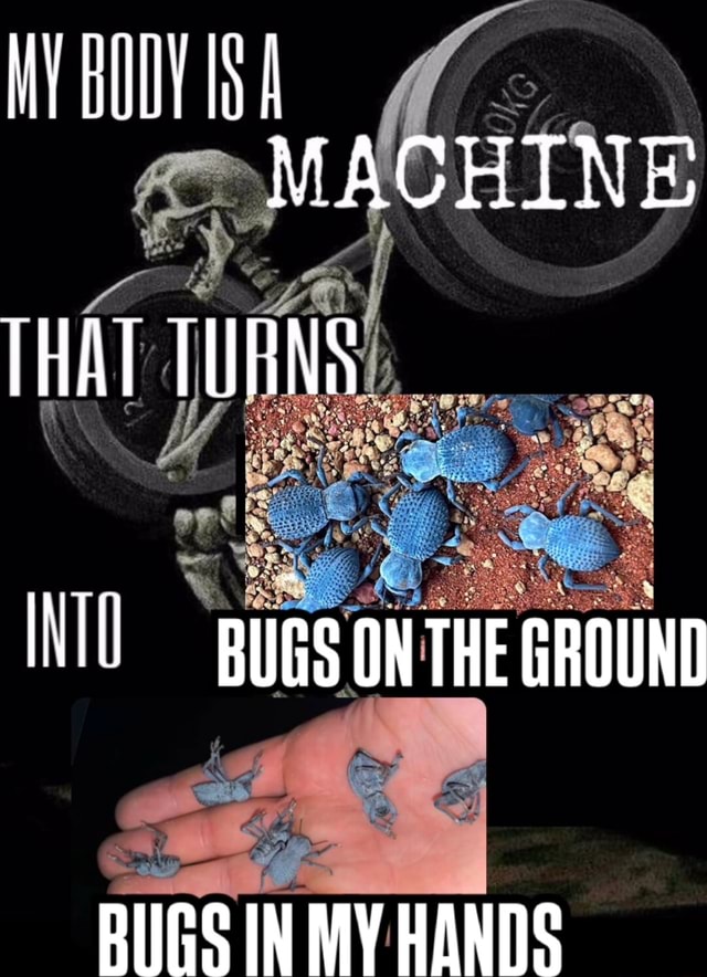 MY BOUY MACHINE THAT TURNS. NI BUGS ON THE GROUND BUGS IN MY HANNS - iFunny