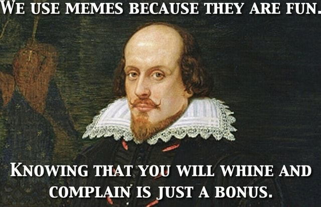 WE USE MEMES BECAUSE THEY ARE FUN. KNOWING THAT YOU WILL WHINE AND ...