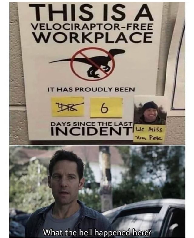 THISISA I VELOCIRAPTOR-FREE WORKPLACE What the hell happened"here ...