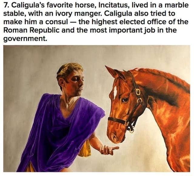 7. Caligula's favorite horse, Incitatus, lived in a marble stable, with ...