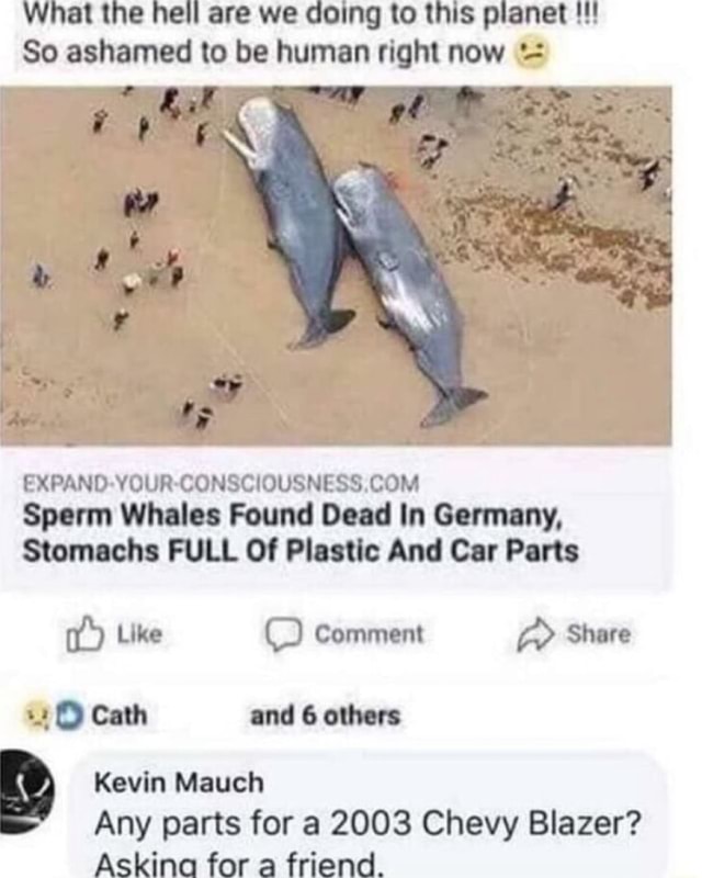 What the hell are we doing to this planet !!! So ashamed to be human ...