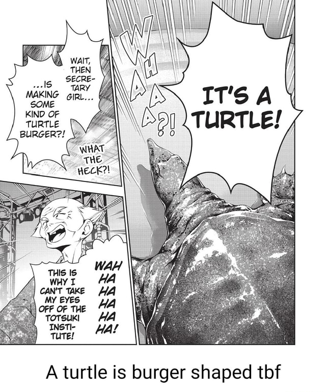 LS MAKING Girt... SOME TURTLE! KIND OF TURTLE BURGER?! A turtle is burger shaped tbf - iFunny
