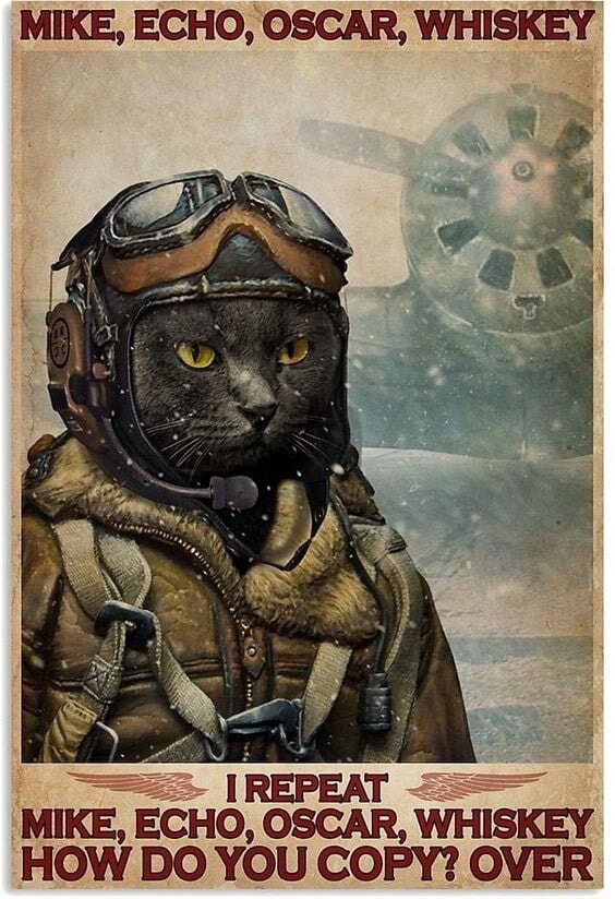 MIKE, ECHO, OSCAR, WHISKEY OSCAR, WHISKEY HOW DO YOU COPY? OVER MIKE, ECHO, - iFunny