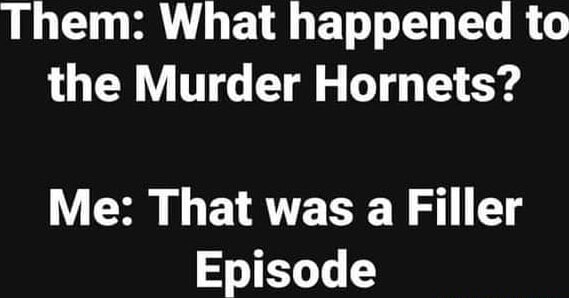Them: What happened to the Murder Hornets? Me: That was a Filler ...