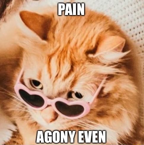 PAIN AGONY EVEN - iFunny