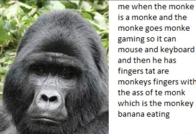 Me when the monke is amonke and the monke goes monke -I gaming so it ...