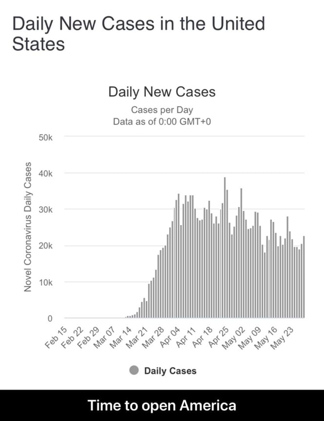 Daily New Cases in the United States Daily New Cases Cases per Day Data ...