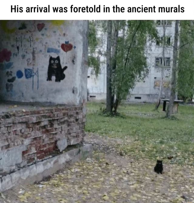 His arrival was foretold in the ancient murals I ties I - iFunny