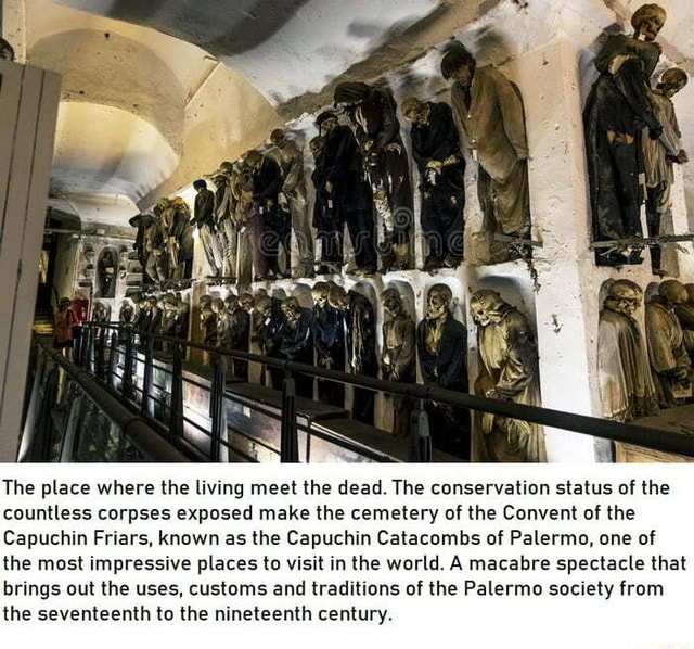The place where the living meet the dead. The conservation status of ...