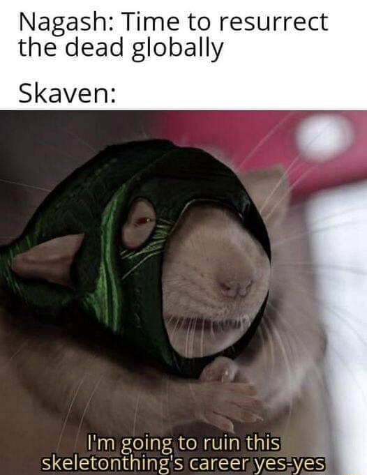 Nagash: Time to resurrect the dead globally Skaven: going to ruin this ...