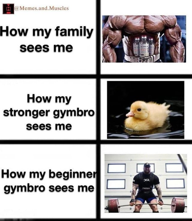 Bic Memes.and.Muscles How my family sees me How my stronger gymbro sees me How my beginne gymbro ...
