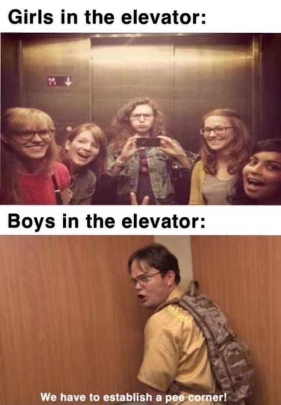 ‘Girls in the elevator: Boys in the elevator: We have to establish ...