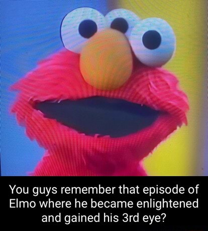 You guys remember that episode of Elmo where he became enlightened and ...