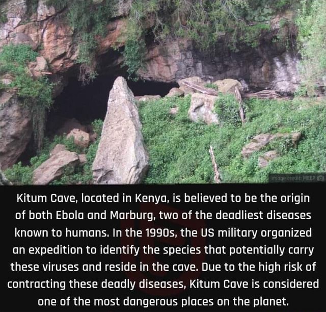 Kitum Cave, located in Kenya, is believed to be the origin of both ...