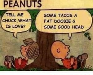 PEANUTS SOME TACOS A FAT DOOBIE & SOME 600D HEAD - iFunny