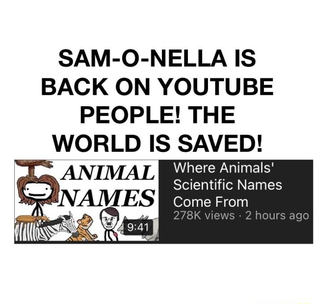 SAM-O-NELLA IS BACK ON YOUTUBE PEOPLE! THE WORLD IS SAVED! ANIMAL Where ...