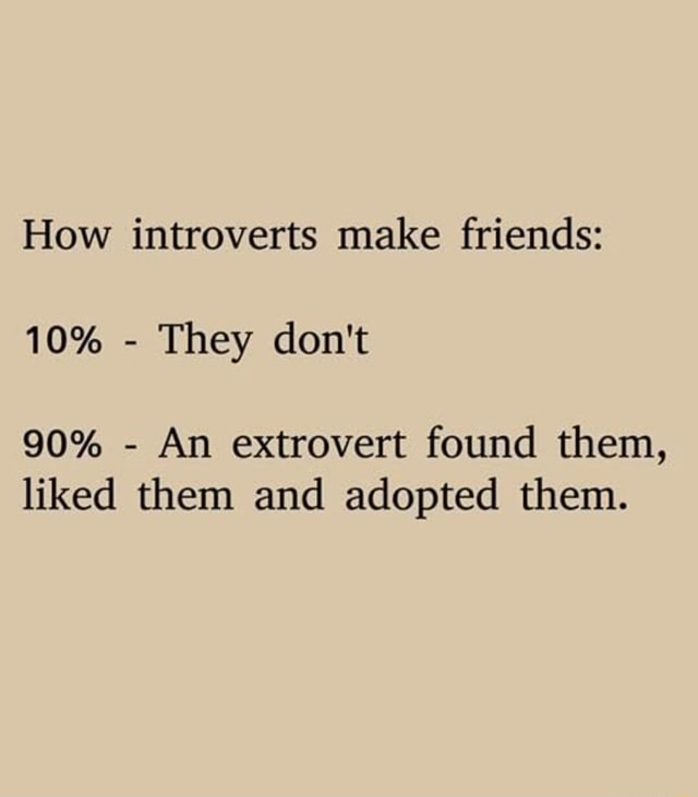 How introverts make friends: 10% - They don't 90% - An extrovert found ...