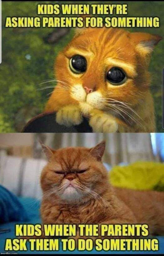 KIDS WHEN THEY'RE ASKING PARENTS FOR SOMETHING Ye KIDS WHEN THE PARENTS ...