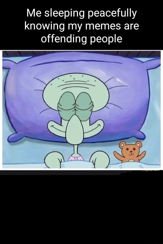 Me sleeping peacefully knowing my memes are offending people - iFunny
