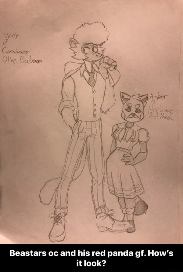 Beastars oc and his red panda gf. How's it look? - Beastars oc and his ...