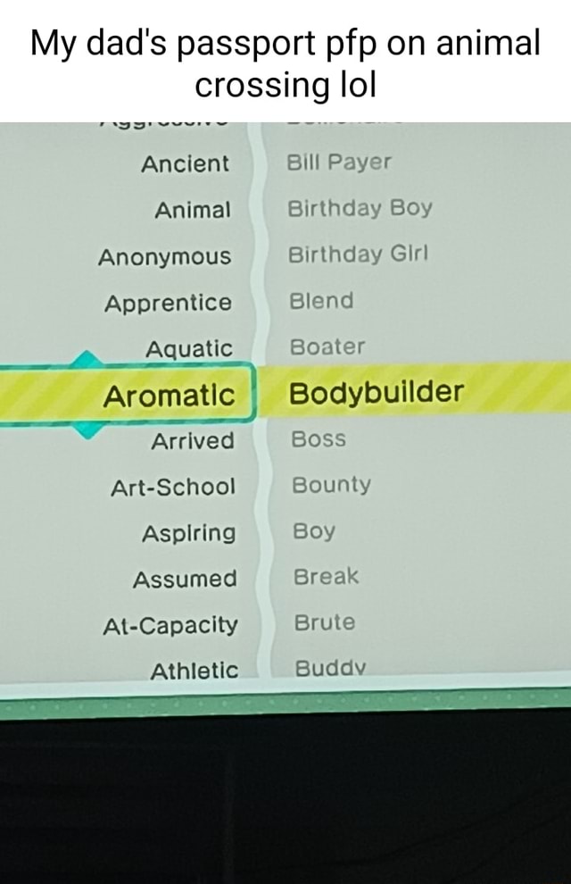 My dad's passport pfp on animal crossing lol Ancient ill F Birthday ...