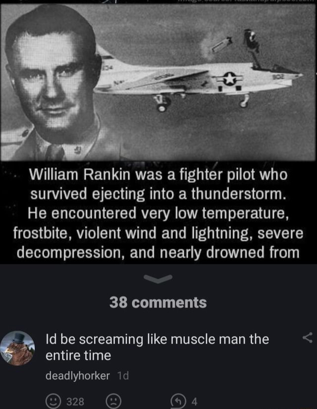 William Rankin was a fighter pilot who survived ejecting into a ...