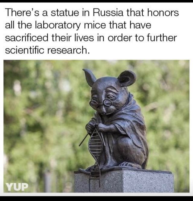 There’s a statue in Russia that honors all the laboratory mice that ...