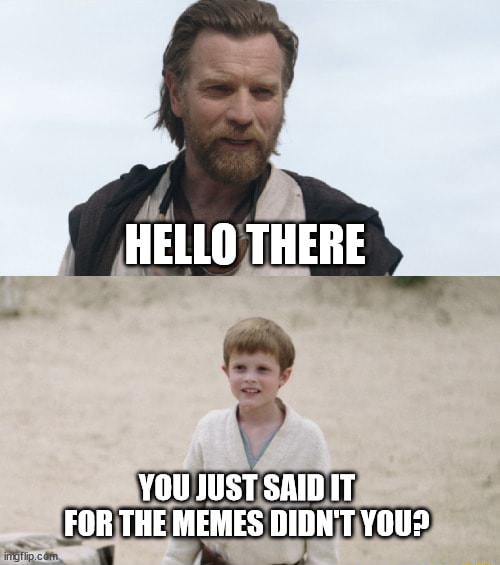 HELLO THERE YOU JUST SAID IT FOR THE MEMES DIDN'T YOUP - iFunny
