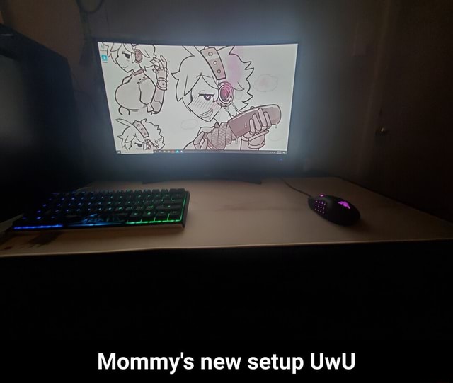 Mommy's new setup UwU - Mommy's new setup UwU - iFunny