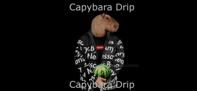 Capybara Drip any, - iFunny