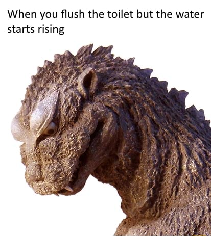When you flush the toilet but the water starts rising - iFunny