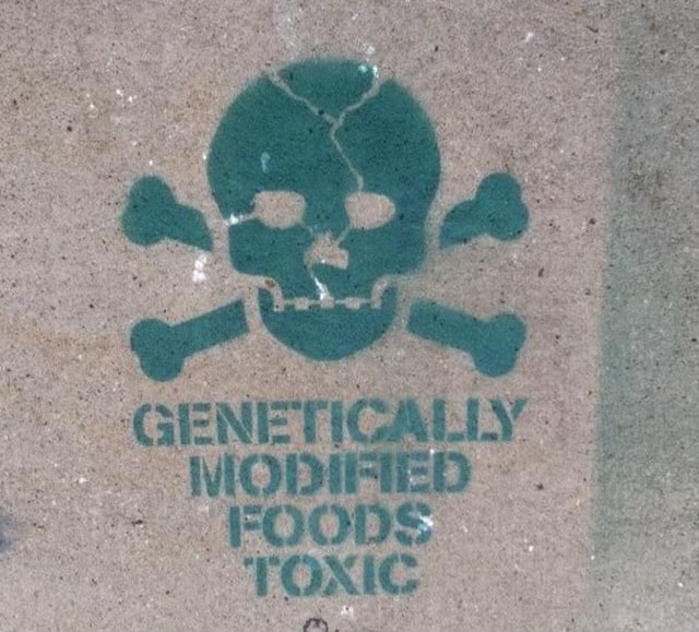 GENE MODIFIED FOODS TONIC - America’s best pics and videos