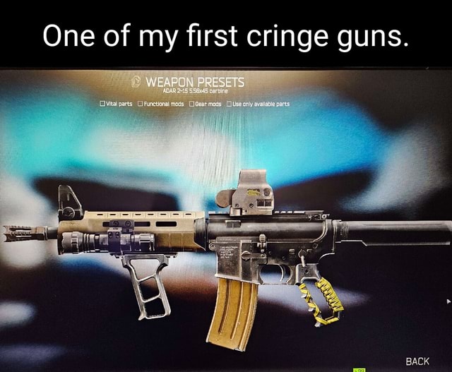 One of my first cringe guns. WEAPON PRESETS BACK - iFunny