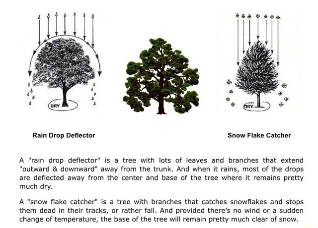 Rain Drop Deflector 'Snow Flake Catcher A "rain drop deflector" is a ...