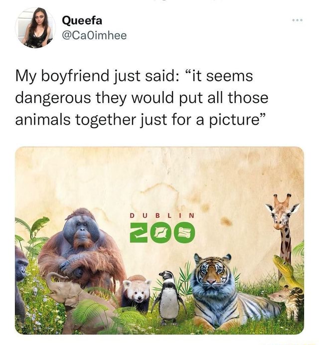 Queefa @CaOimhee My boyfriend just said: "it seems dangerous they would ...