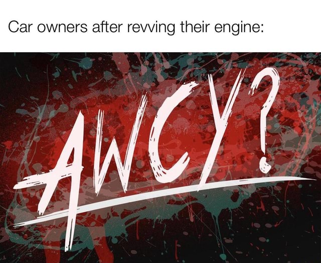 Car owners after revving their engine - iFunny