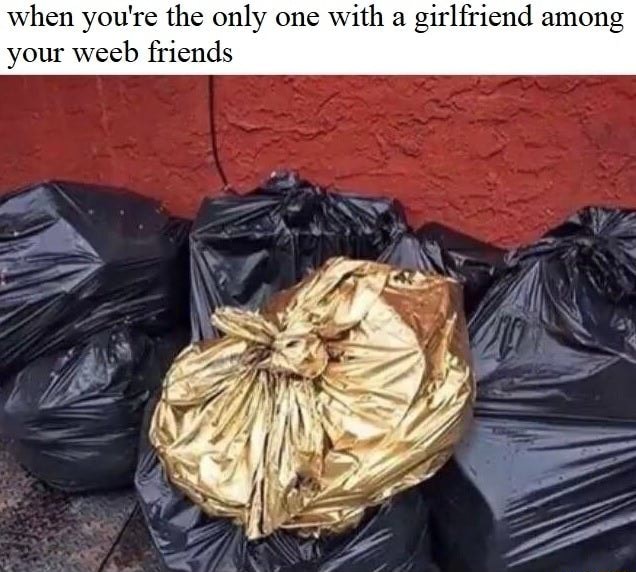 When you're the only one with a girlfriend among your weeb friends - iFunny