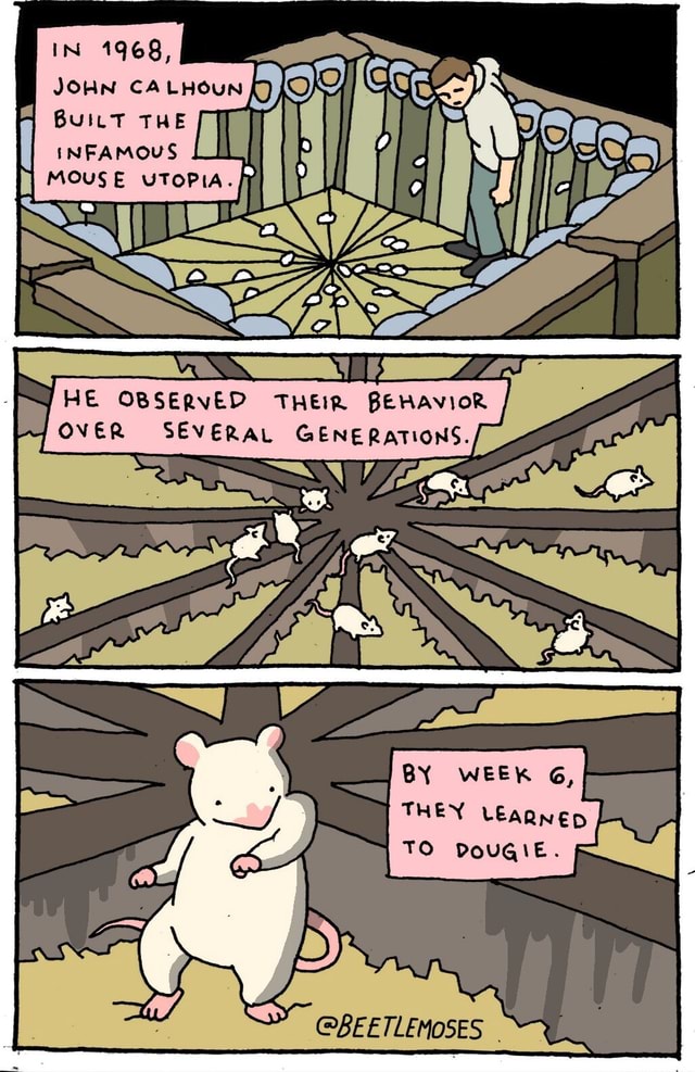 IN 1968, TH MOUSE UTOPIA HE OBSERVED THEIR BEHAVIOR I OVER SEVERAL G ...