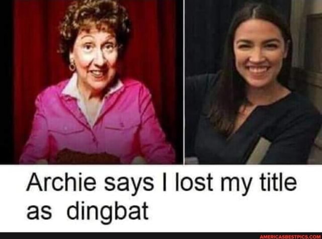 Archie says I lost my title as dingbat - America’s best pics and videos