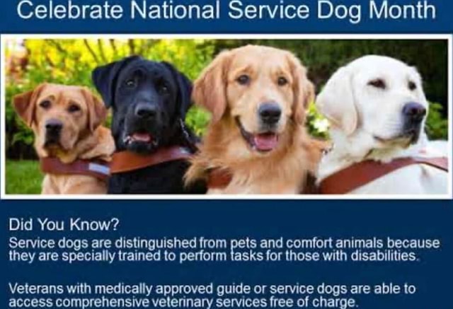 Celebrate National Service Dog Month Did You Know? Service dogs are distinguished from pets and ...