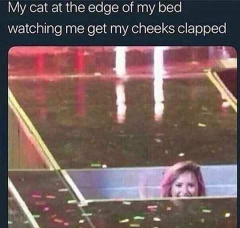 My cat at the edge of my bed watching me get my cheeks clapped - iFunny
