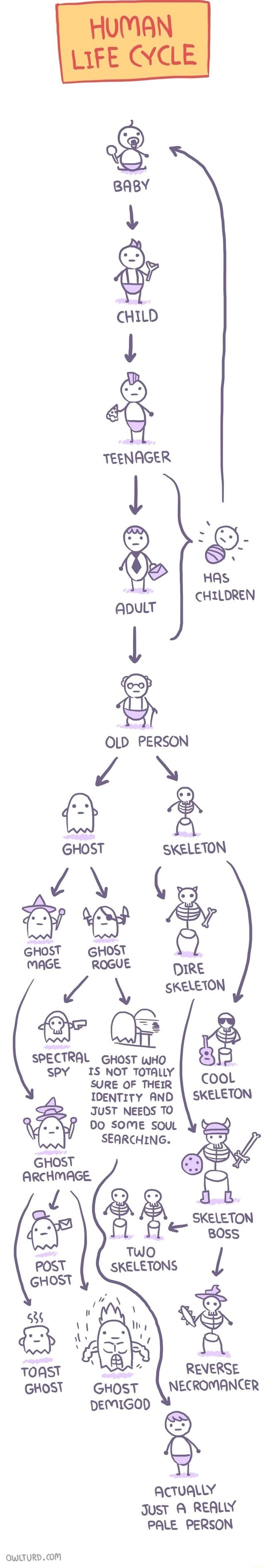 HUMAN LIFE CYCLE BABY TEENAGER HAS ADULT CHILDREN OLD PERSON GHOST ...