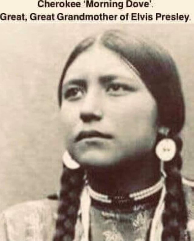 Cherokee 'Morning Dove Great, Great Grandmother of Elvis Presley ...